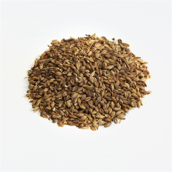 Briess Malting Special Roast Malt – Crafted Fermentations